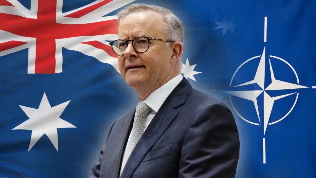 AFUO backs calls for PM Anthony Albanese to attend NATO summit ...